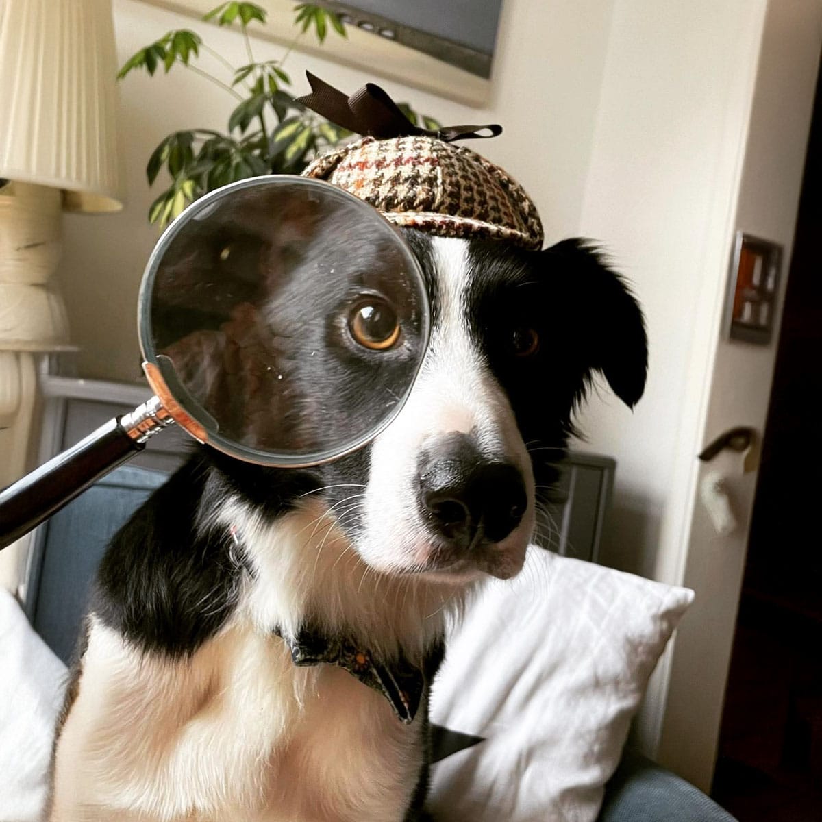 The Sherlock Holmes Museum – 221B Baker Street | Marylebone London